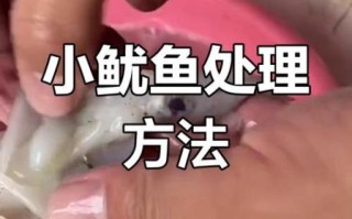 小鱿鱼仔怎么处理_冷冻小鱿鱼仔怎么清洗