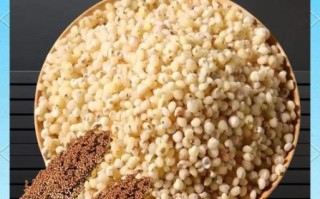 吃高粱米有什么好处_高粱米营养价值高吗