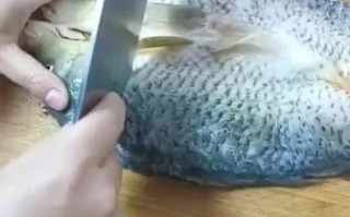 煎扒鱼怎么做好吃_家常煎扒鱼的做法