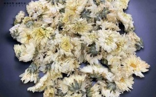 养肝买杭白菊还是胎菊_哪个效果更好