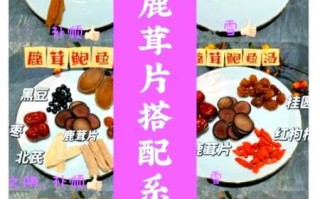 家常炖鹿肉怎么做_鹿肉去腥技巧