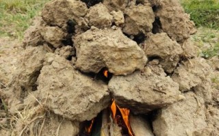 洪七公叫花鸡的来历_为什么叫叫花鸡