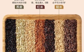 糙米怎么做好吃_糙米煮饭技巧