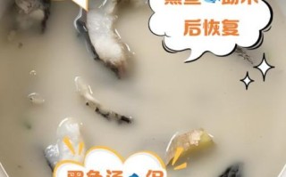 黑鱼汤怎么做_术后恢复喝黑鱼汤有什么好处