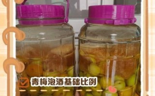 青梅酒的功效与作用_青梅酒怎么喝最好