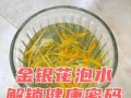 金银花泡水喝的禁忌_哪些人不能喝金银花茶