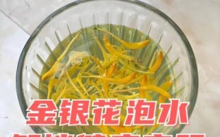 金银花泡水喝的禁忌_哪些人不能喝金银花茶