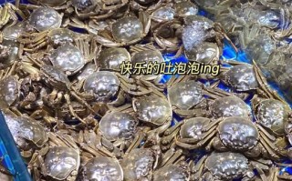 太原大闸蟹多少钱一斤_太原大闸蟹价格行情
