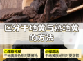 地黄的功效与作用_鲜地黄与干地黄区别