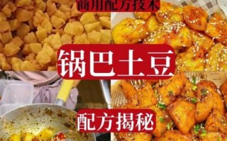 锅巴土豆调料怎么选_锅巴土豆调料哪个牌子好吃