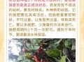 羊奶果种植条件_羊奶果几年结果