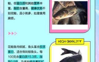 鲢鱼和鳙鱼的区别_如何一眼分辨花鲢白鲢