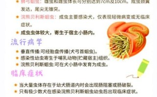 蛔虫感染症状_蛔虫怎么预防