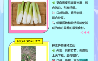 茭白笋的功效与作用_茭白笋怎么吃最营养