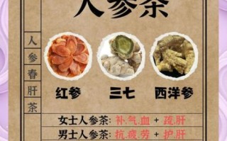 参茶怎么做_参茶的功效与作用