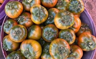 草莓柿子营养价值_草莓柿子功效与作用