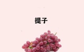 提子能减肥吗_提子的功效与作用