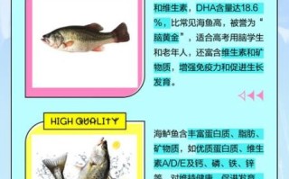 海鲈鱼和淡水鲈鱼区别_哪个更好吃