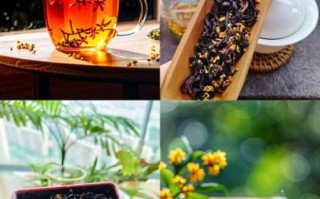 湿气重可以喝桂花茶吗_桂花茶去湿气效果