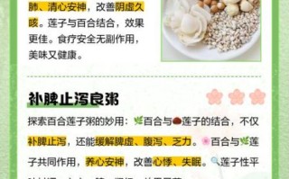 莲子百合粥怎么做_莲子百合粥的功效与禁忌