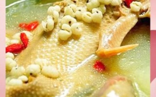 绿豆薏仁鸭羹的做法_绿豆薏仁鸭羹的功效