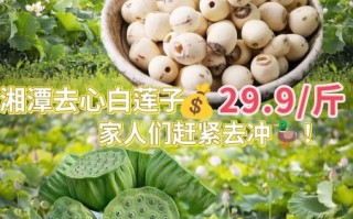 莲蓬子的功效与作用_莲蓬子怎么吃最养人