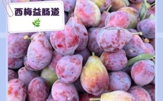 西梅怎么吃_西梅一天吃几个合适