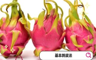 火龙果皮可以吃吗_火龙果皮怎么吃