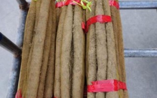 麻山药图片_麻山药怎么挑选