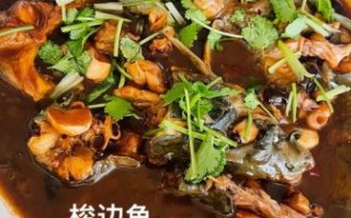 梭鱼怎么做好吃_家常红烧梭鱼做法