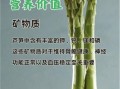长期喝芦笋治好了癌症_是真的吗