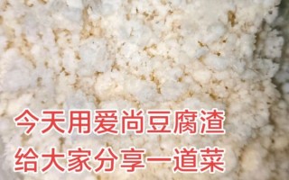 豆腐渣咋吃_豆腐渣怎么做好吃