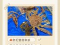 帝王蟹怎么杀_帝王蟹宰杀步骤图解