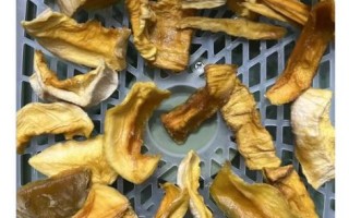 芒果干可以直接晒么_家庭自制芒果干能晒干吗