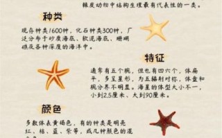 海星有毒吗_被海星扎了怎么办
