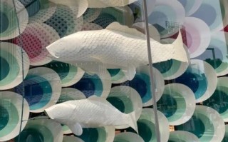 鲤鱼旗是什么节日_日本儿童节为什么挂鲤鱼旗