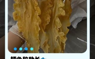 鳕鱼胶好吗_鳕鱼胶的功效与副作用
