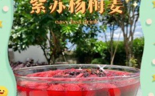 紫苏杨梅汁怎么做_紫苏杨梅汁功效与禁忌