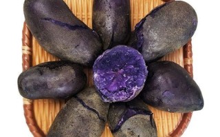 黑美人土豆产地在哪里_黑美人土豆哪里产最好