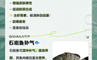 石斑鱼的营养价值_石斑鱼的功效与作用