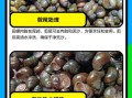 田螺怎么清洗最干净_田螺的做法家常做法