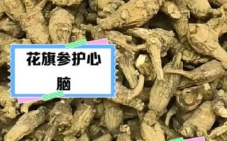 花旗参茶的功效与作用_花旗参茶怎么喝