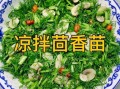 凉拌茴香苗怎么做_孕妇能吃吗