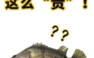 鳜鱼和桂鱼的区别_鳜鱼桂鱼是同一种鱼吗