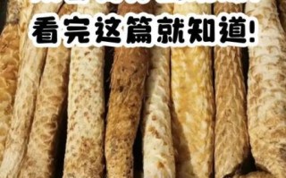 草苁蓉的功效与作用_草苁蓉怎么吃效果最好