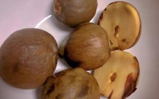 牛油果的核能吃吗_牛油果核能怎么吃