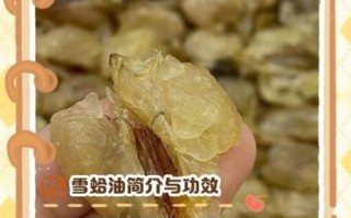 蛤蟆油的功效与作用_蛤蟆油怎么吃效果最好