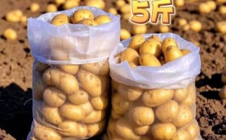 土豆价格最新行情2021_土豆为什么涨价