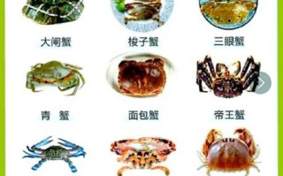 螃蟹吃什么食物_螃蟹怎么养