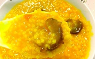 海参粥的家常做法_海参粥怎么做好吃又营养